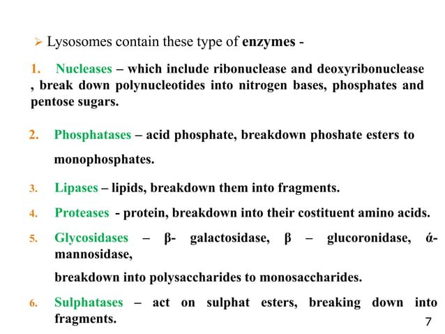 lysosome_ppt.pptx STRUCTURE AND FUNCTION | PPTX | Digestive Disorders | Diseases and Conditions