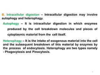 lysosome_ppt_msc.pptx_cell biology_cell organelles | PPTX