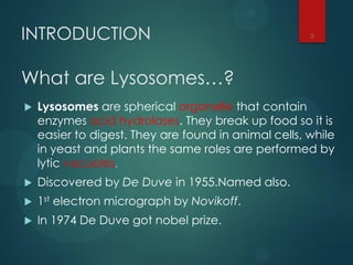 Lysosomes | PDF