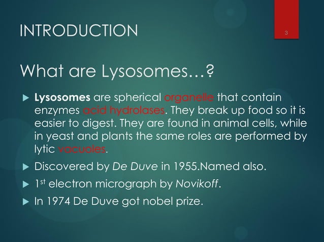 Lysosomes | PDF | Biological Sciences | Science