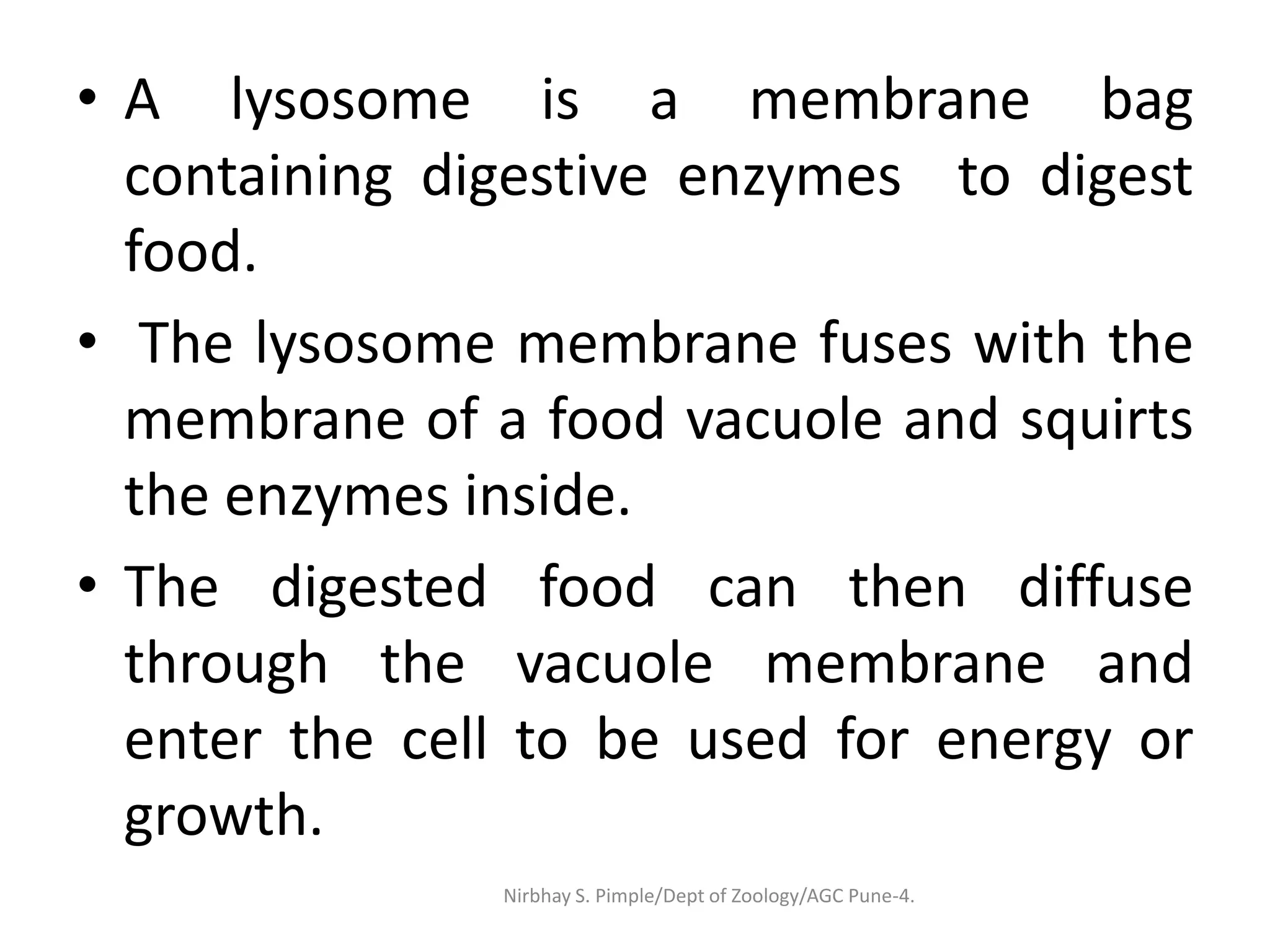 Lysosomes | PPTX