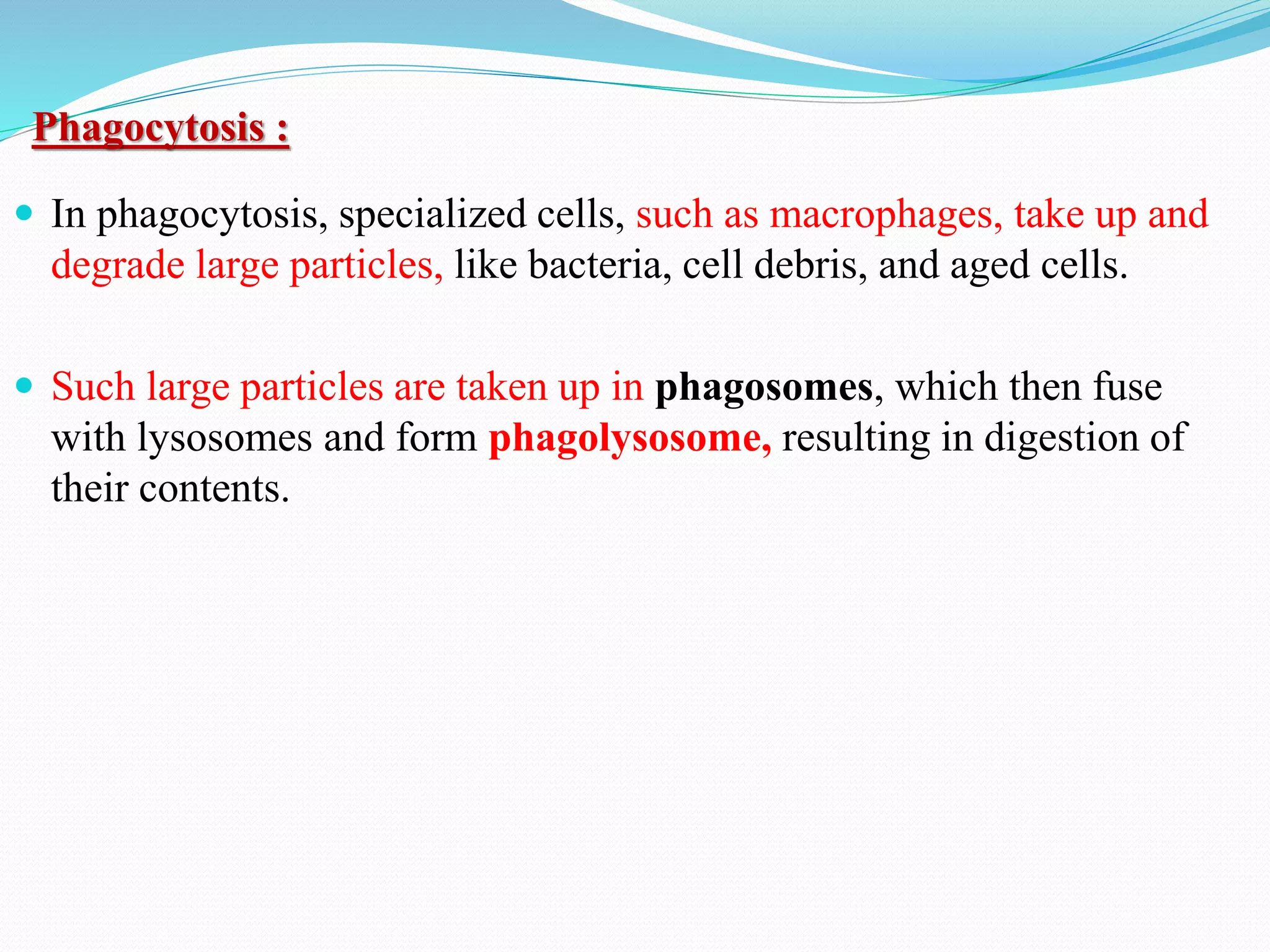 Lysosomes | PPTX
