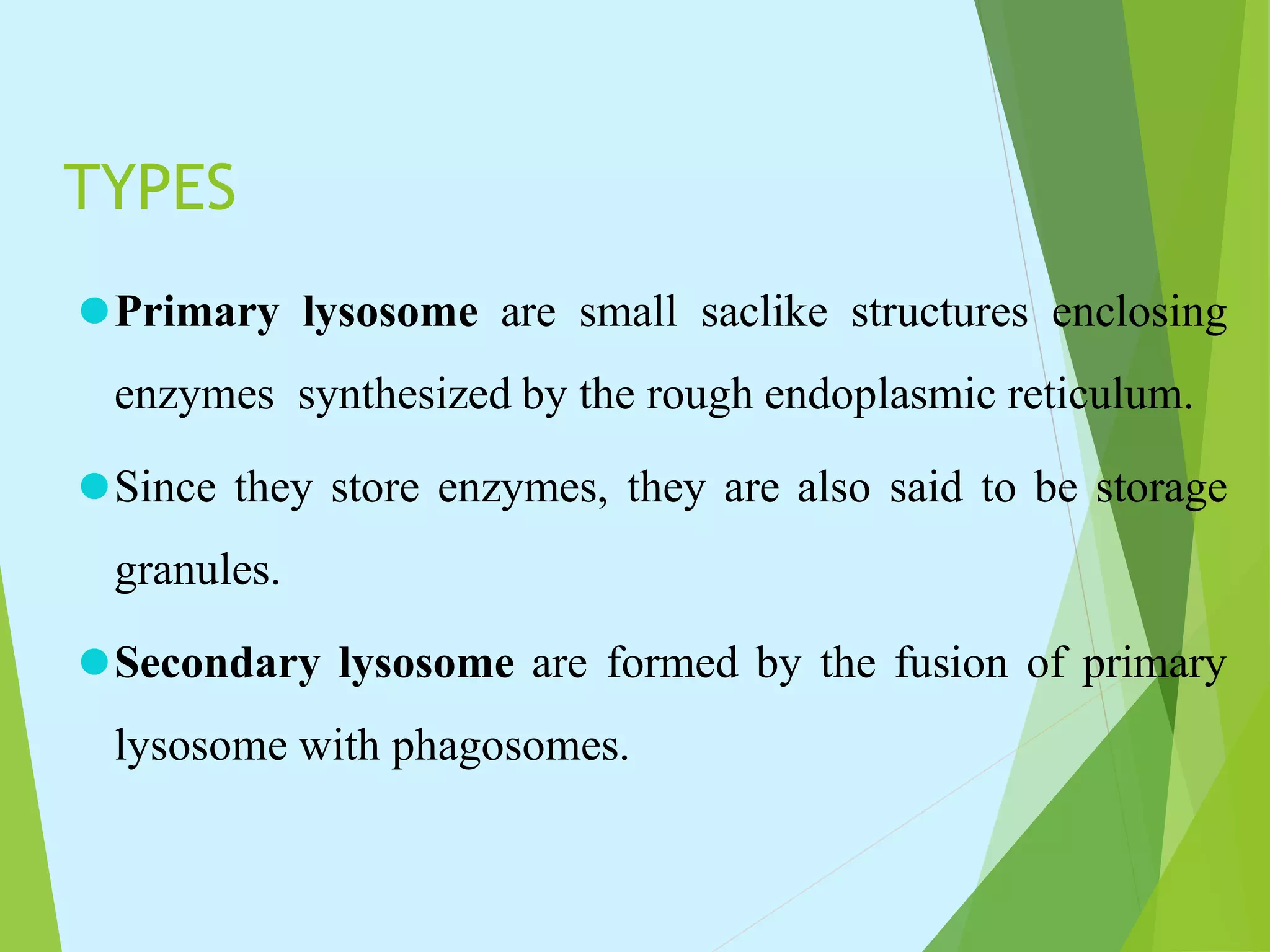 Lysosomes | PPTX