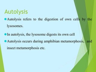 Lysosomes | PPTX