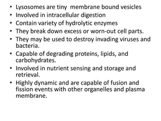 Lysosomes | PPTX
