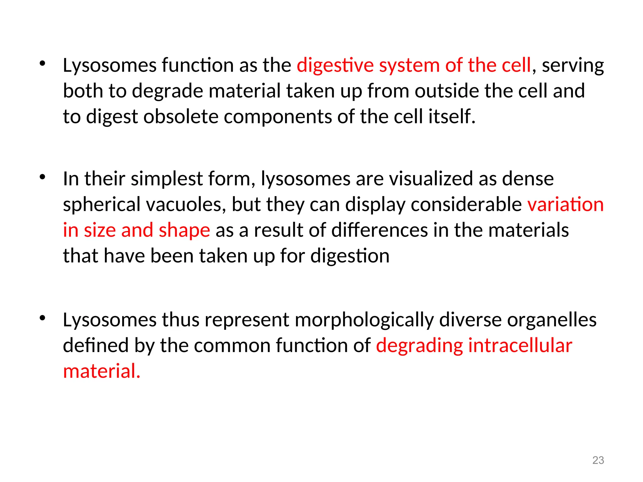Lysosomes as organelle in animals and eukaryotes | PPT