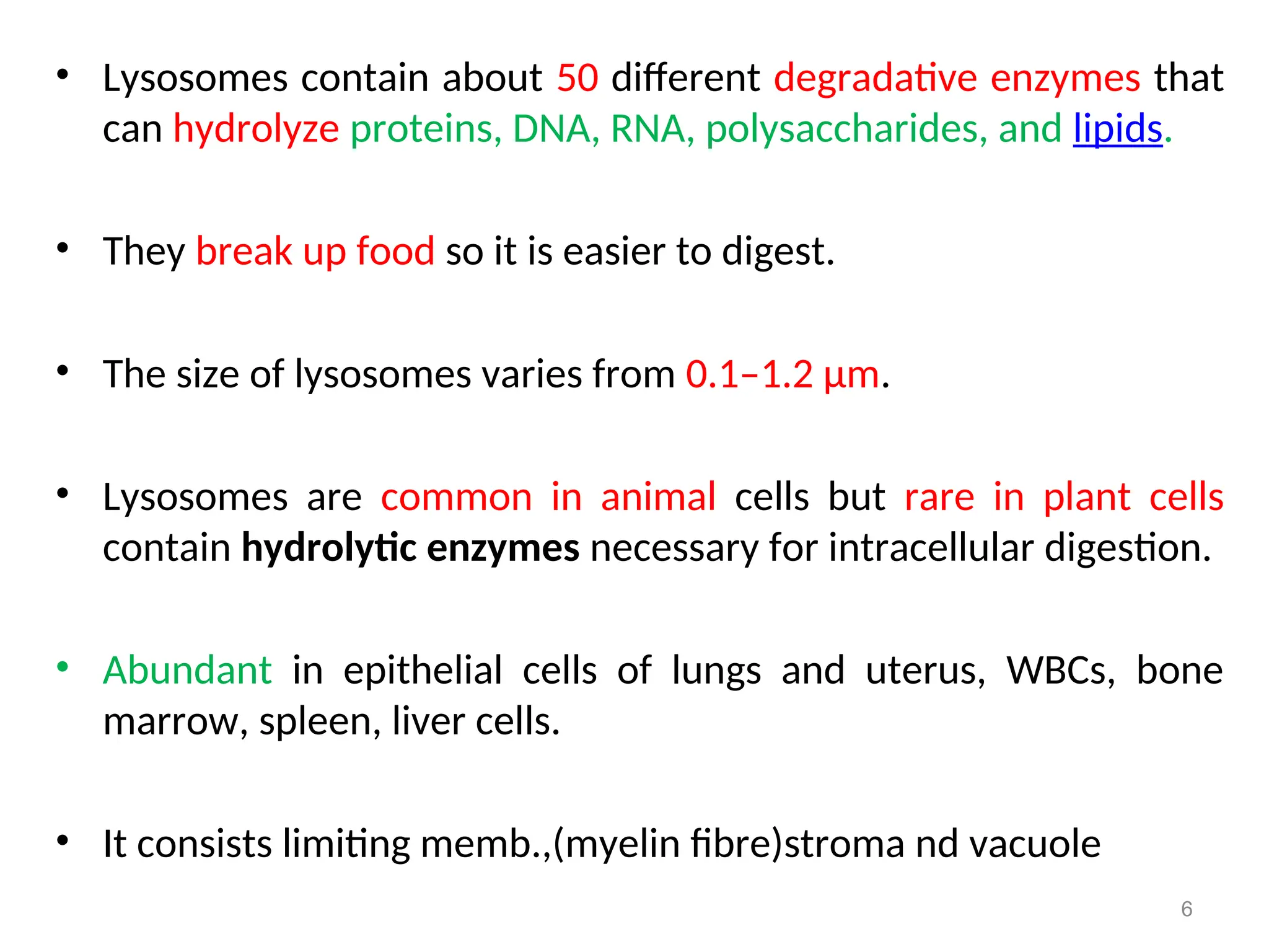 Lysosomes as organelle in animals and eukaryotes | PPT