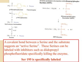 Lysosome mechanism | PPT