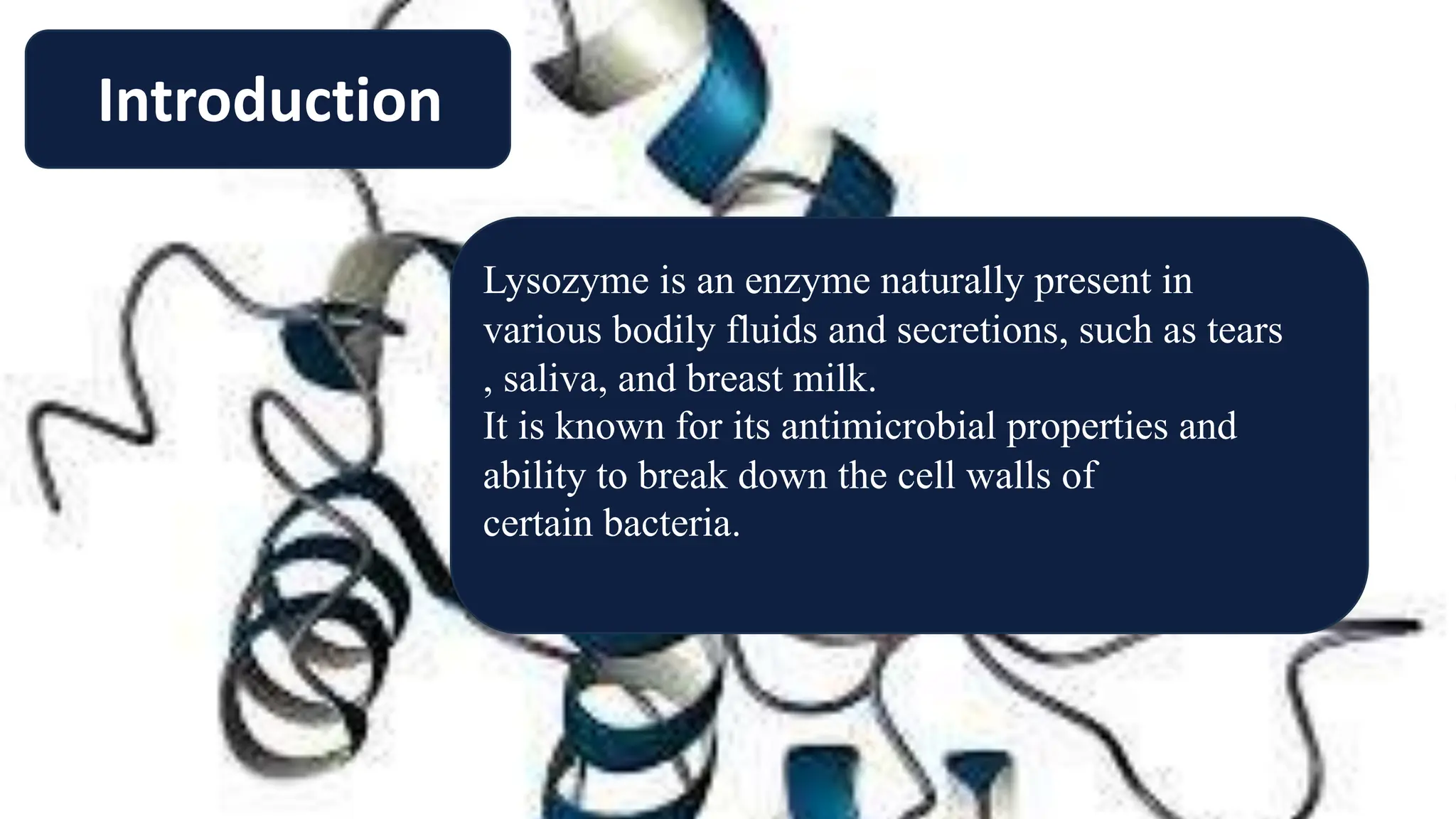Lysozyme finalee (1).pptxnnnnnnnnnnnnnnnnnnnnnnnnnnnnnnn | PPTX