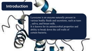 Lysozyme finalee (1).pptxnnnnnnnnnnnnnnnnnnnnnnnnnnnnnnn | PPTX