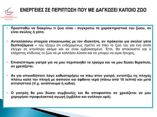 Λύσσα | PPT