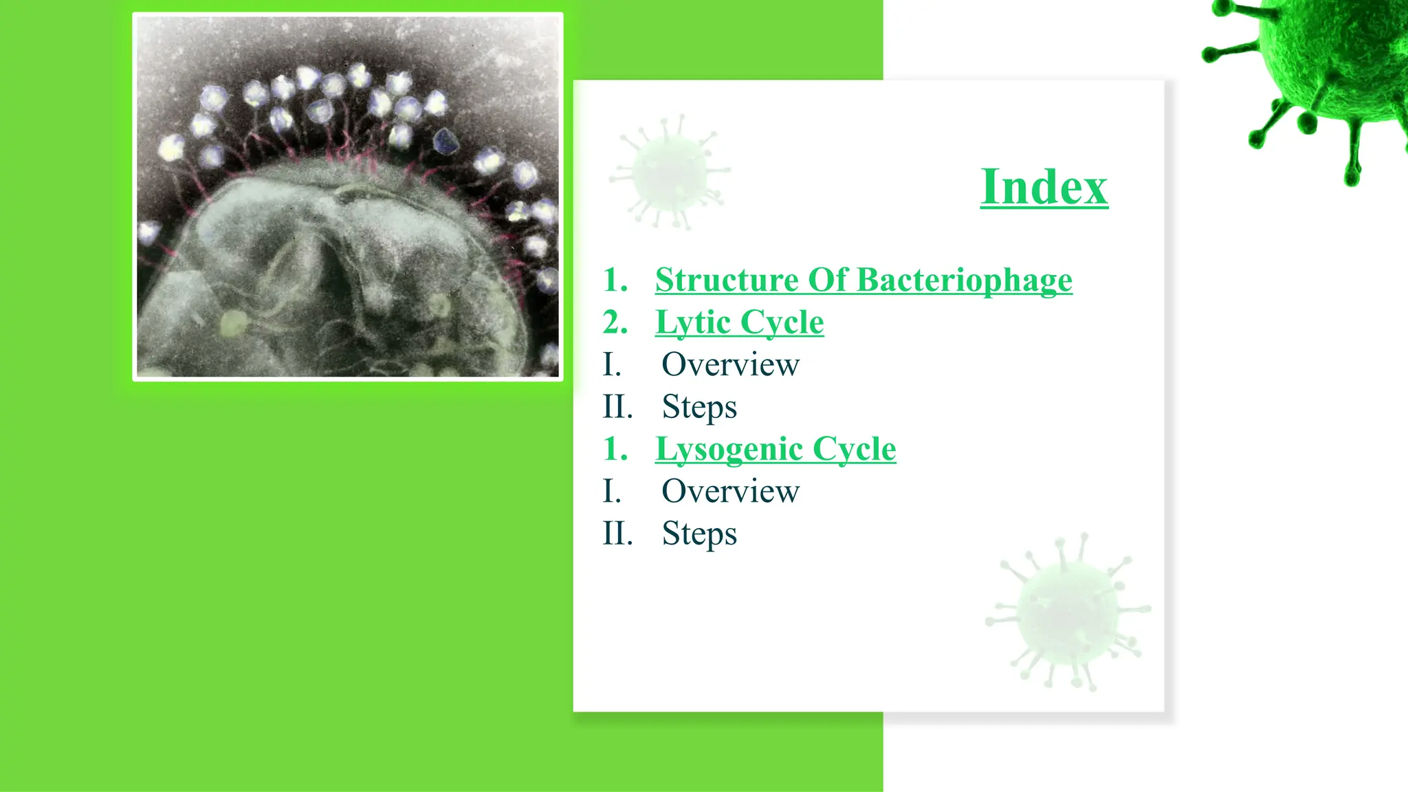 lytic and lysogenic cycle in the bacteriophage. | PPTX