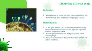lytic and lysogenic cycle in the bacteriophage. | PPTX