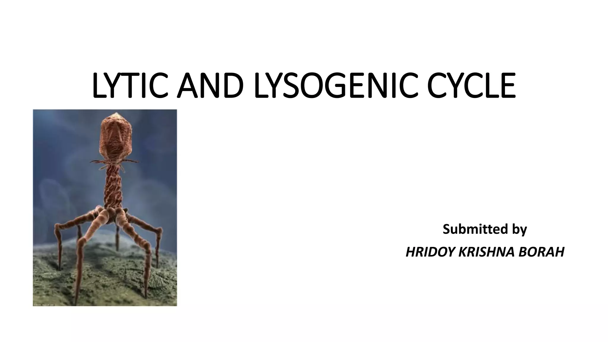 LYTIC AND LYSOGENIC CYCLE by hridoy Krishna Borah.pptx