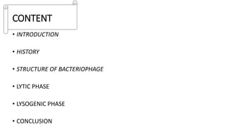 LYTIC AND LYSOGENIC CYCLE by hridoy Krishna Borah.pptx