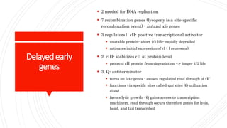Lytic and lysogeny | PPTX | Biological Sciences | Science