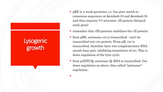 Lytic and lysogeny | PPTX | Biological Sciences | Science