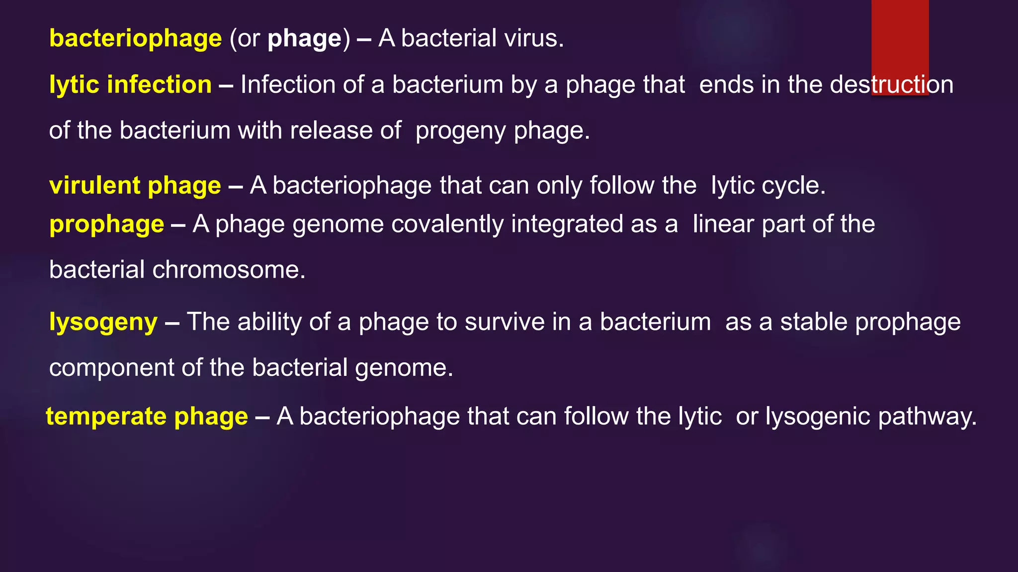Lytic and lysogenic cascade | PPTX