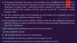 Lytic and lysogenic cascade | PPTX