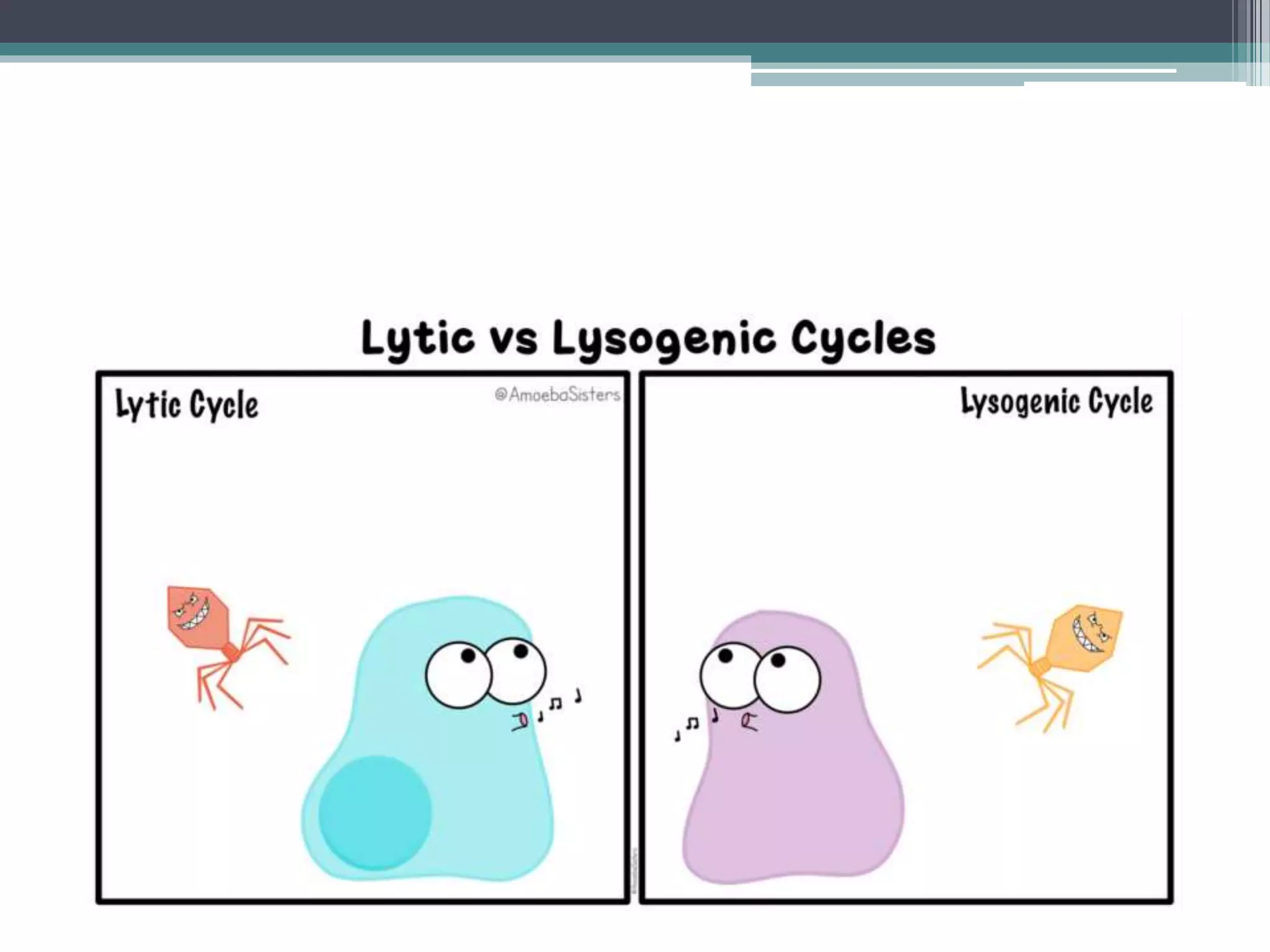 Lytic cycle | PPTX