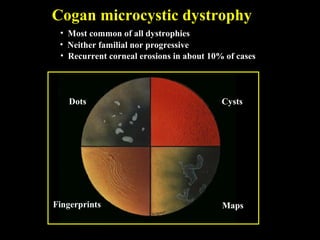 17 corneal dystrophies | PPT