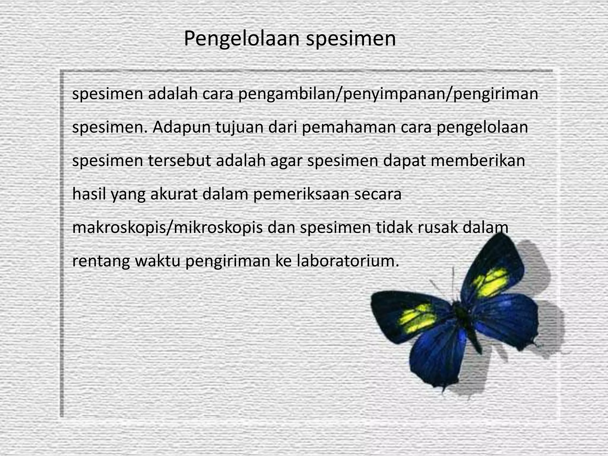 Konsep dasar mikrobiologi (indriana fitri) | PPT Konsep dasar mikrobiologi (indriana fitri) | PPT