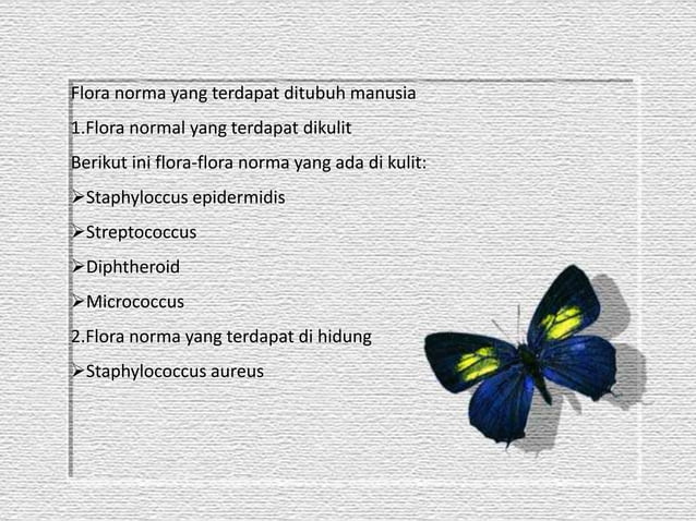 Konsep dasar mikrobiologi (indriana fitri) | PPTX