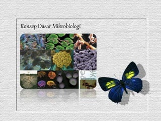 Konsep dasar mikrobiologi (indriana fitri) | PPTX