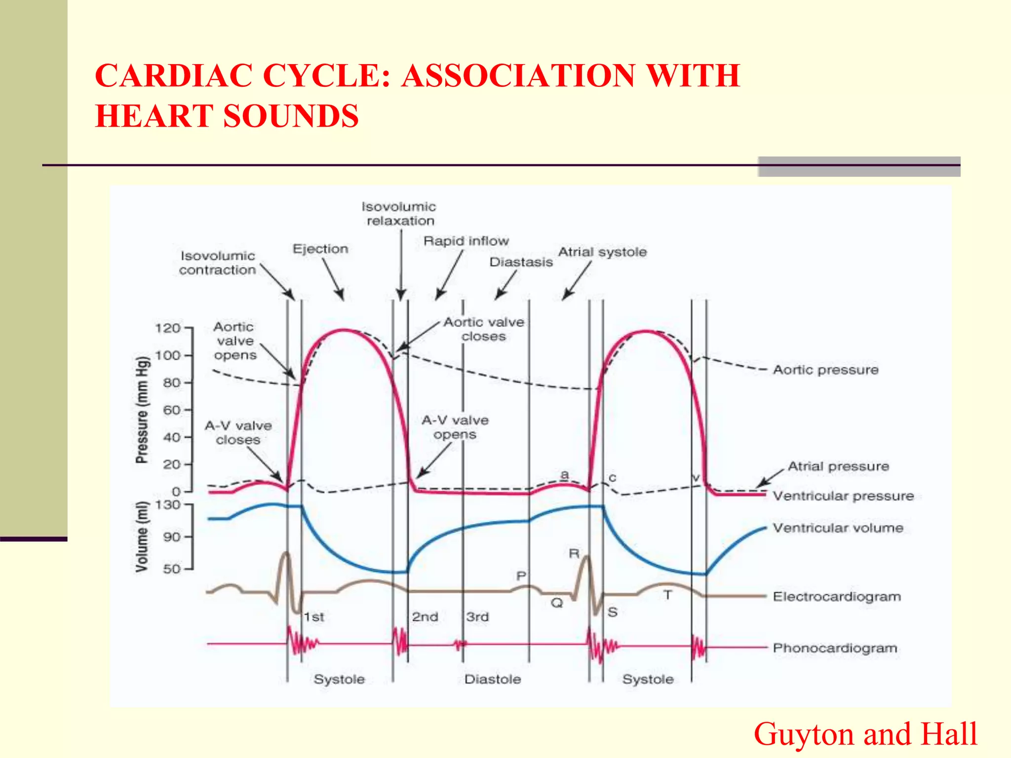 Heart sounds | PPT