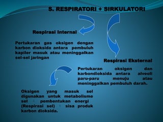 sistem-respirasi-manusia_fisiologi ppt kedokteran | PPTX