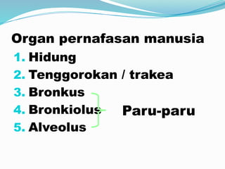 sistem-respirasi-manusia_fisiologi ppt kedokteran | PPTX