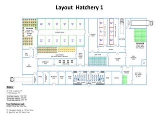 hatchery design | PPTX