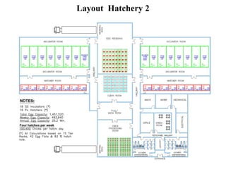 hatchery design | PPTX