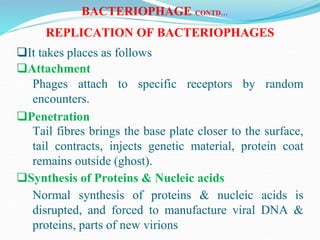 Chap_12_Biotechnology.ppt