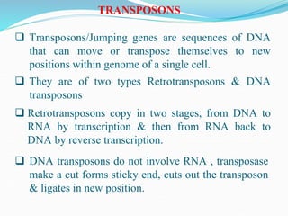 Chap_12_Biotechnology.ppt