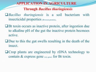 Chap_12_Biotechnology.ppt