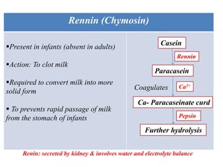 AAM-1:Digestion & absorption of protein By Santhosh Kumar. Nune | PPT