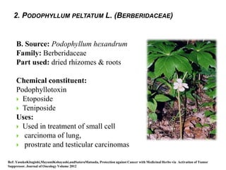 A Comprehensive Review on Anticancer activity of Different Plant ...