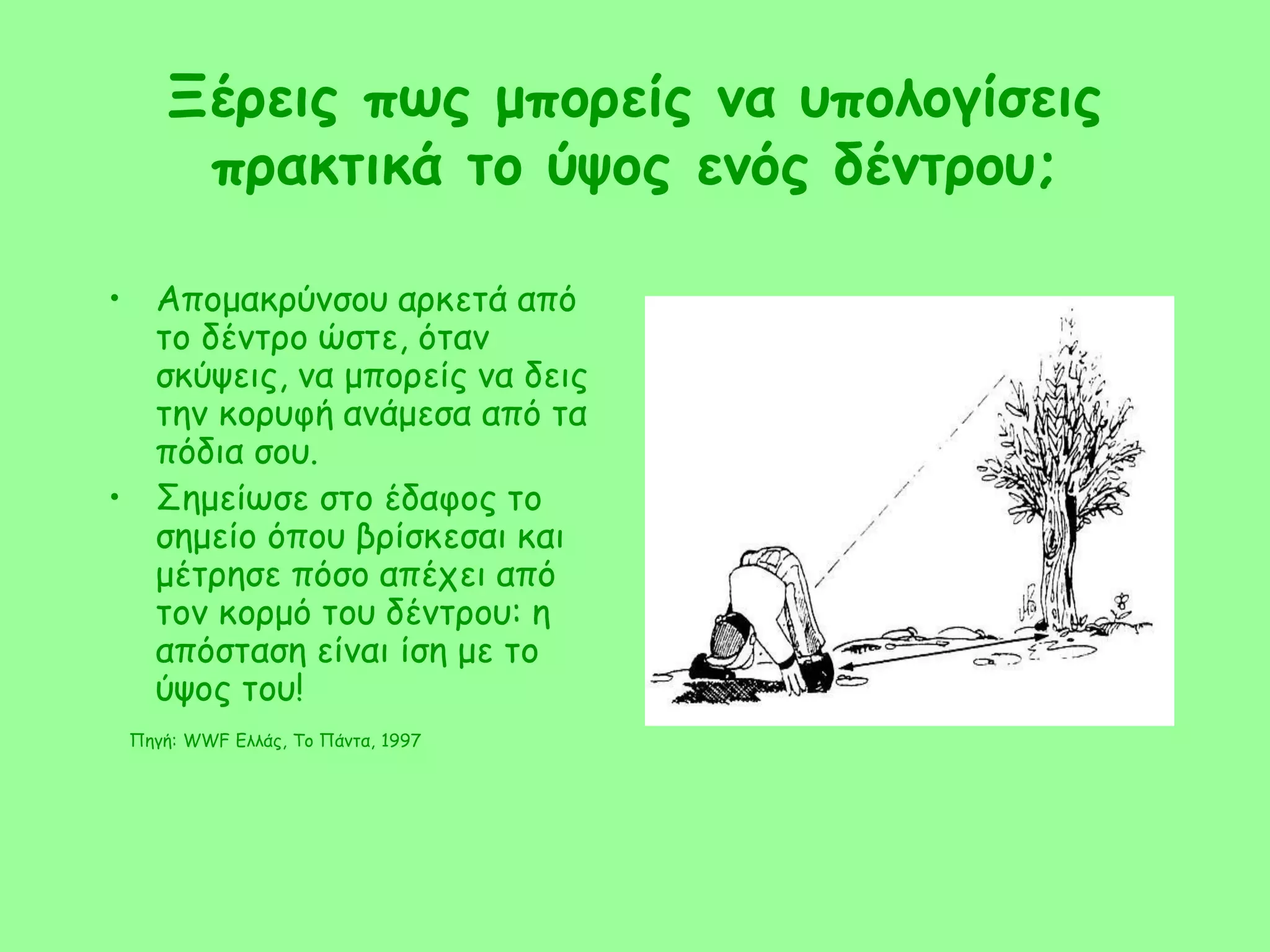 Mες στο δάσος περπατώ ... κι εσένα συναντώ | PDF