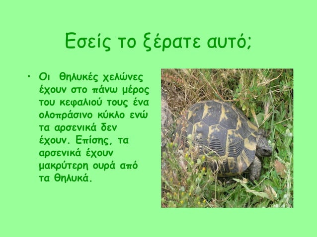 Mες στο δάσος περπατώ ... κι εσένα συναντώ | PDF