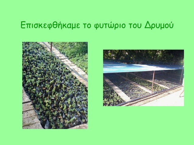 Mες στο δάσος περπατώ ... κι εσένα συναντώ | PDF