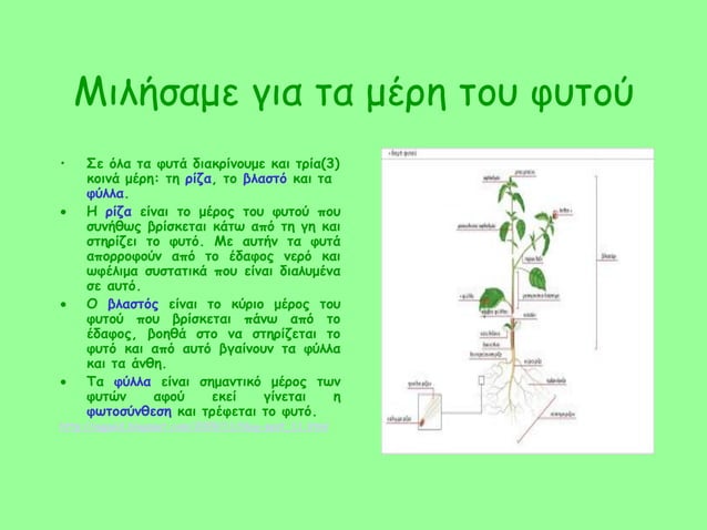 Mες στο δάσος περπατώ ... κι εσένα συναντώ | PDF