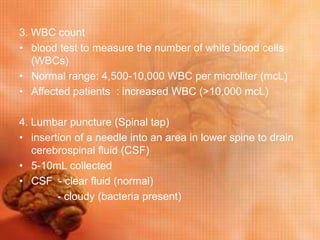 M.meningitis | PPTX