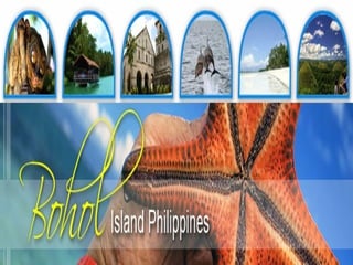 BOHOL | PPT