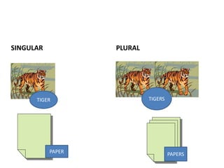 Singular and plural | PPT