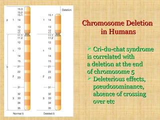 Chromosomal Mutations Chart