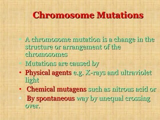 chromosomal mutation | PPT