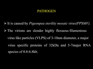 REDGRAM STERILITY MOSAIC VIRUS | PPTX