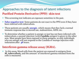 Mycobacterium tuberculosis | PPTX