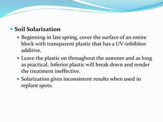 Different Diseases of Olive | PPTX